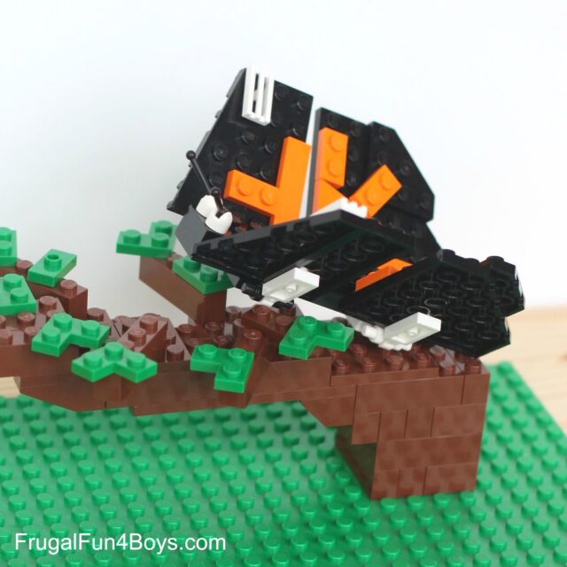 Build the Monarch Butterfly Life Cycle with LEGOs - Frugal Fun For Boys ...