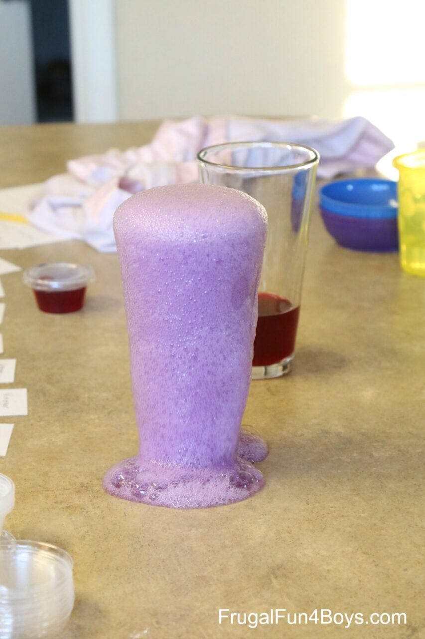 Kitchen Chemistry for Kids: Test for Acids and Bases with Red Cabbage ...