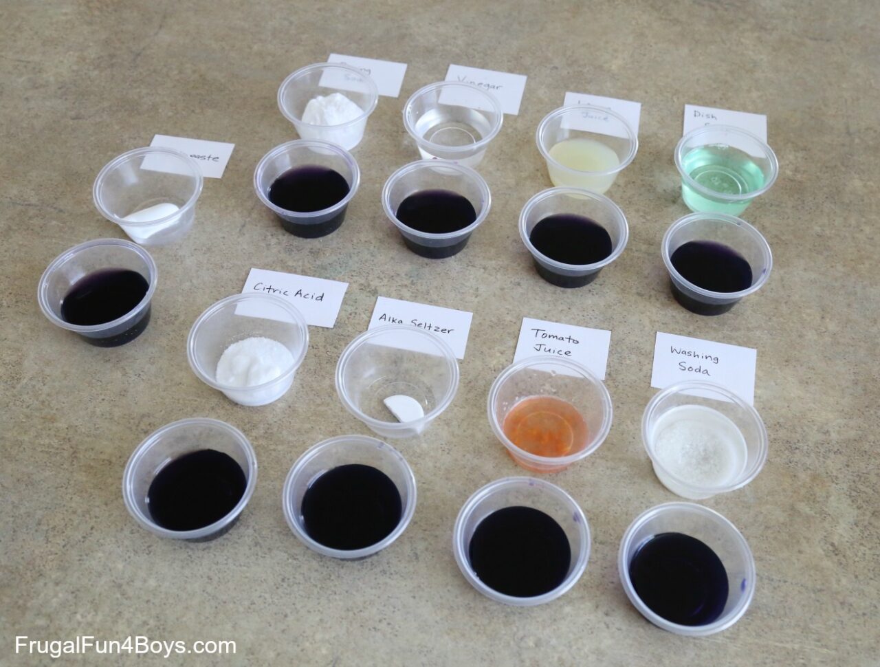 Kitchen Chemistry for Kids: Test for Acids and Bases with Red Cabbage ...