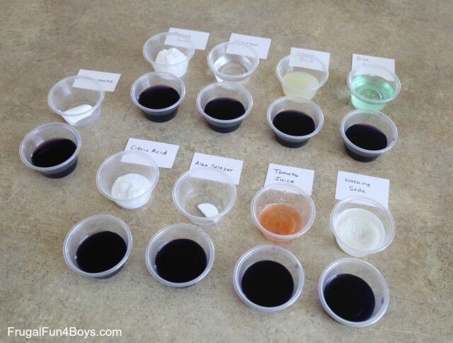Kitchen Chemistry for Kids: Test for Acids and Bases with Red Cabbage ...