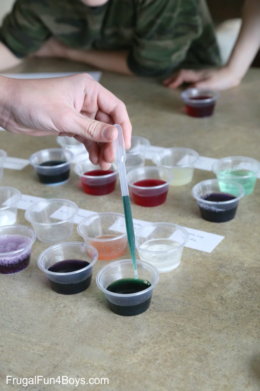 Kitchen Chemistry for Kids: Test for Acids and Bases with Red Cabbage ...