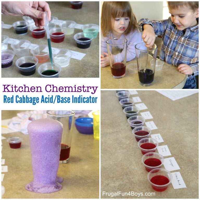 Kitchen Chemistry for Kids: Test for Acids and Bases with Red Cabbage ...