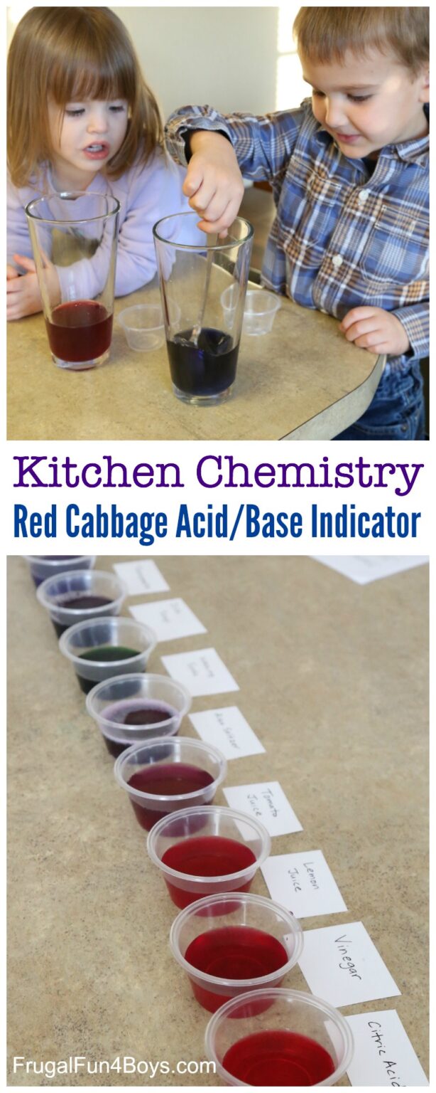 Kitchen Chemistry for Kids: Test for Acids and Bases with Red Cabbage ...
