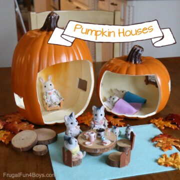 Pumpkin Life Cycle Activity {Printable} - Frugal Fun For Boys and Girls