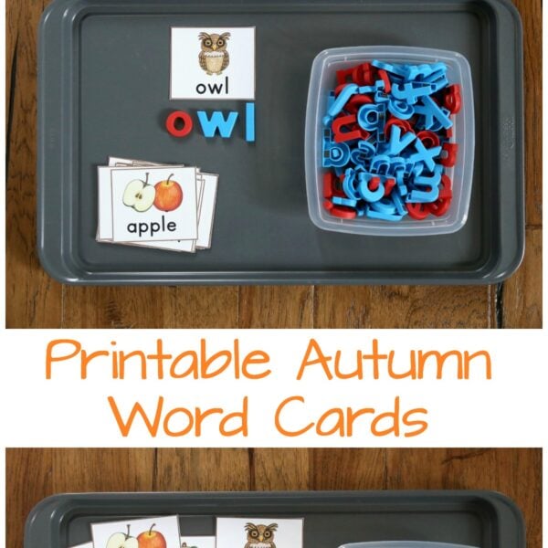 Math and Literacy Archives - Page 6 of 18 - Frugal Fun For Boys and Girls