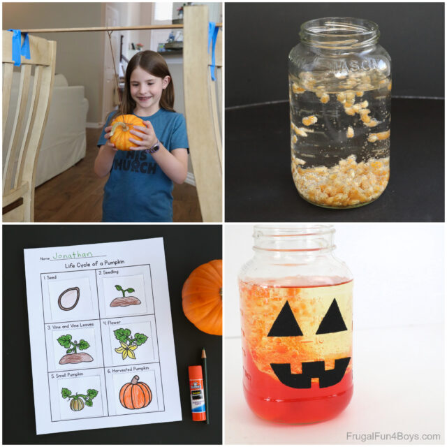Fall STEM Activities that are Engaging and Fun! - Frugal Fun For Boys ...