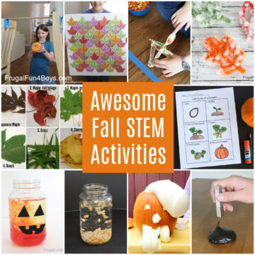 Fall STEM Activities that are Engaging and Fun! - Frugal Fun For Boys ...