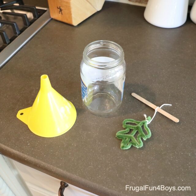 Fall Leaf Borax Crystal Science - Frugal Fun For Boys and Girls