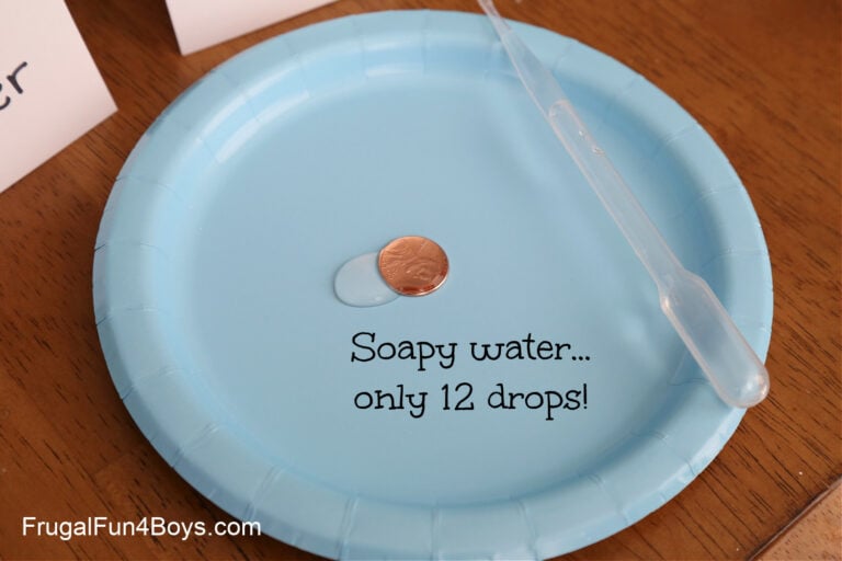 Drops of Water on a Penny {Awesome Science!} - Frugal Fun For Boys and ...