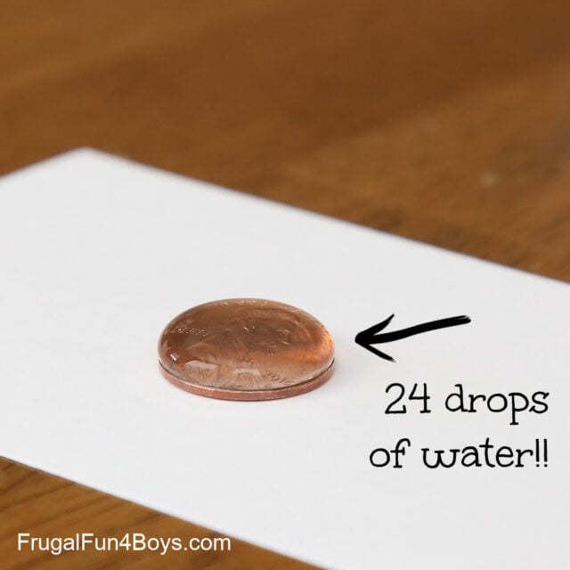 Drops of Water on a Penny {Awesome Science!} - Frugal Fun For Boys and ...