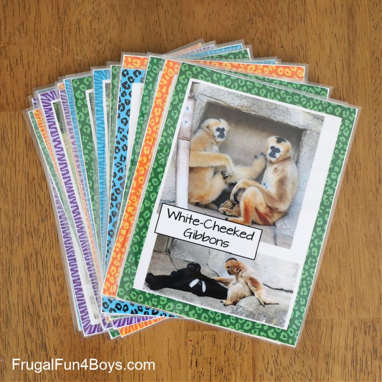 Animal Photo Cards {Drawing or Building Activity} - Frugal Fun For Boys ...