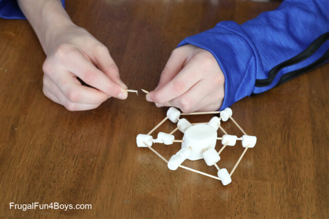 Marshmallow Snowflakes {Winter STEM Activity} - Frugal Fun For Boys and ...