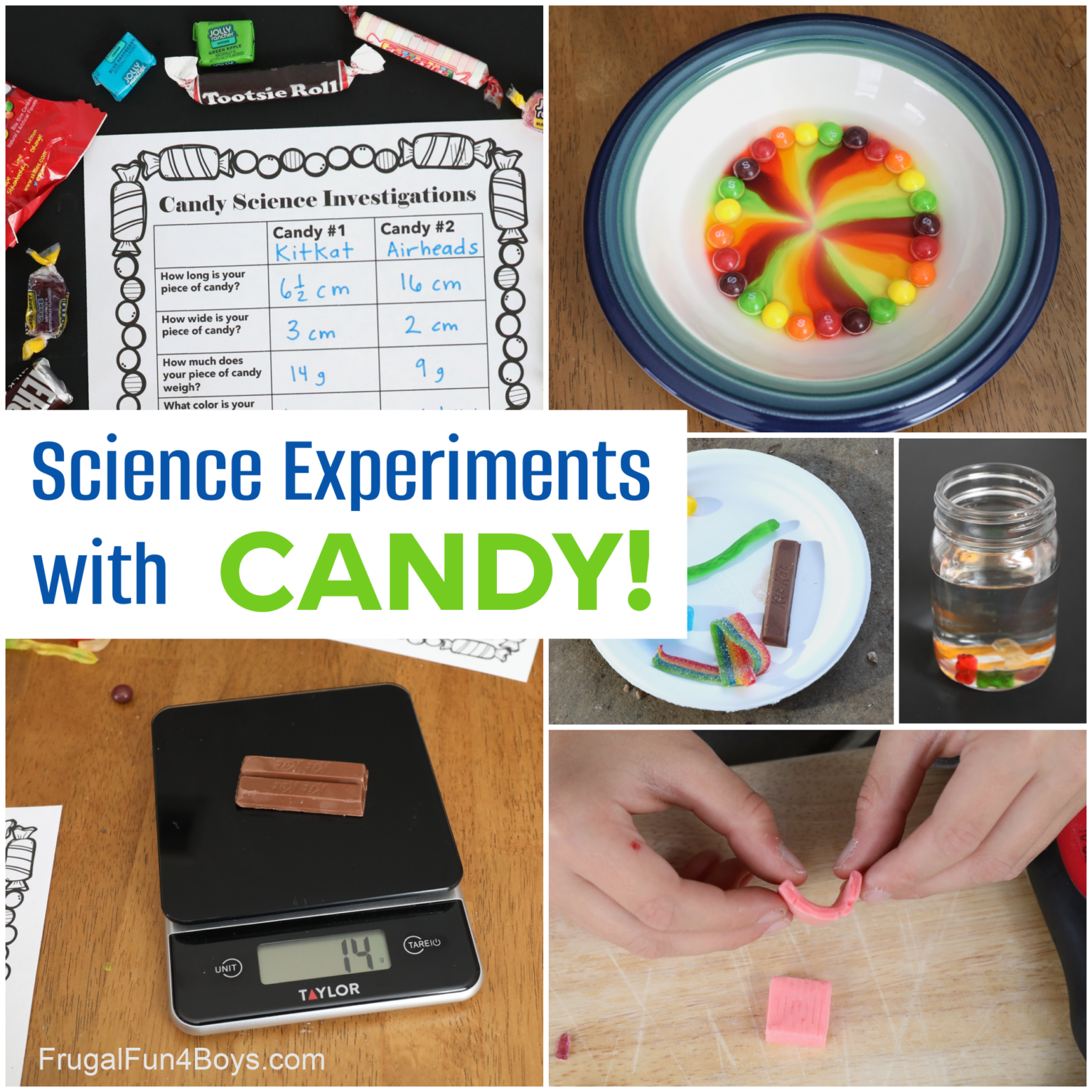 Candy Math! Probability Activity - Frugal Fun For Boys and Girls