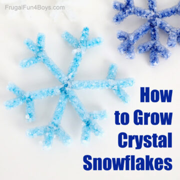 Borax Crystal Snowflake Science Experiment - Frugal Fun For Boys and Girls