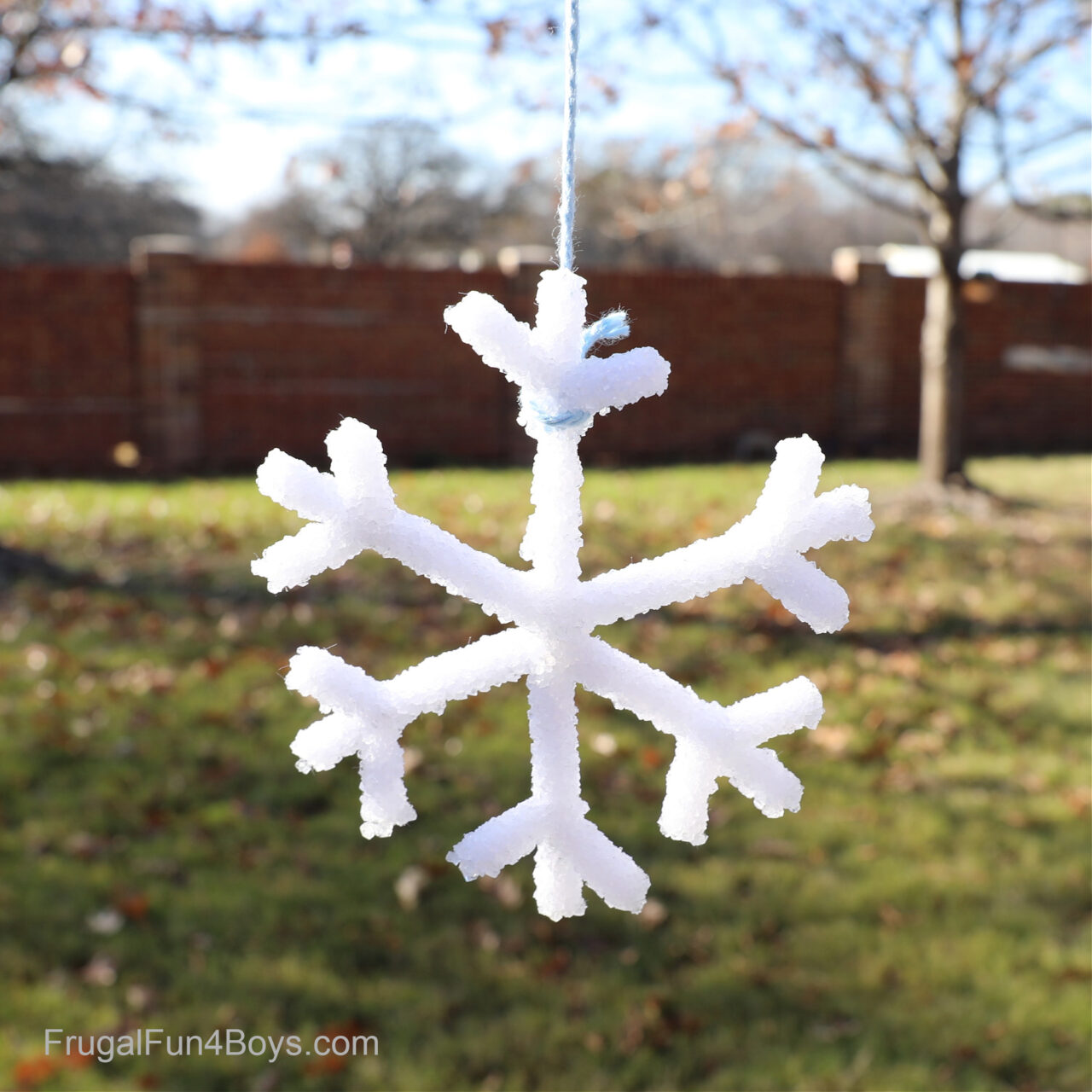 Borax Crystal Snowflake Science Experiment - Frugal Fun For Boys and Girls