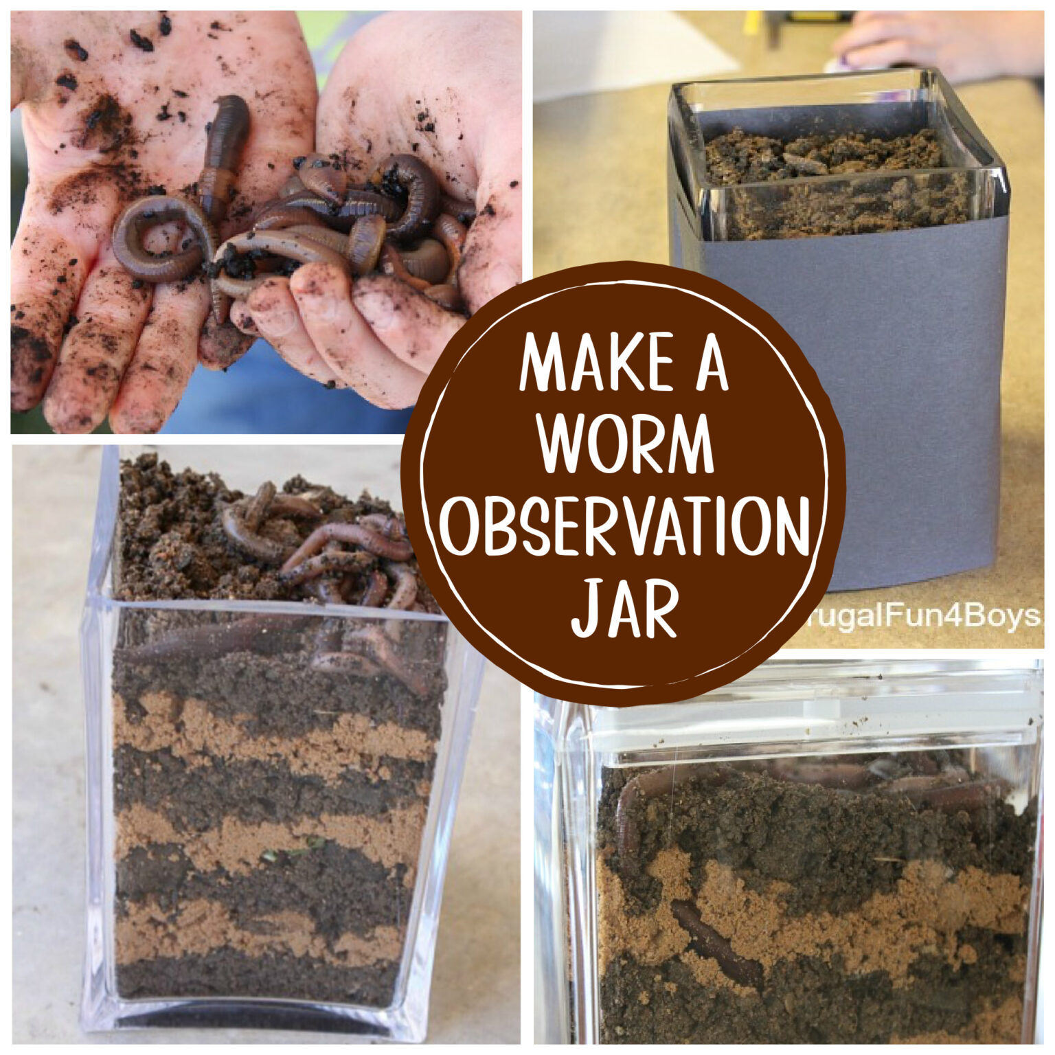 Make a Worm Observation Jar - Frugal Fun For Boys and Girls