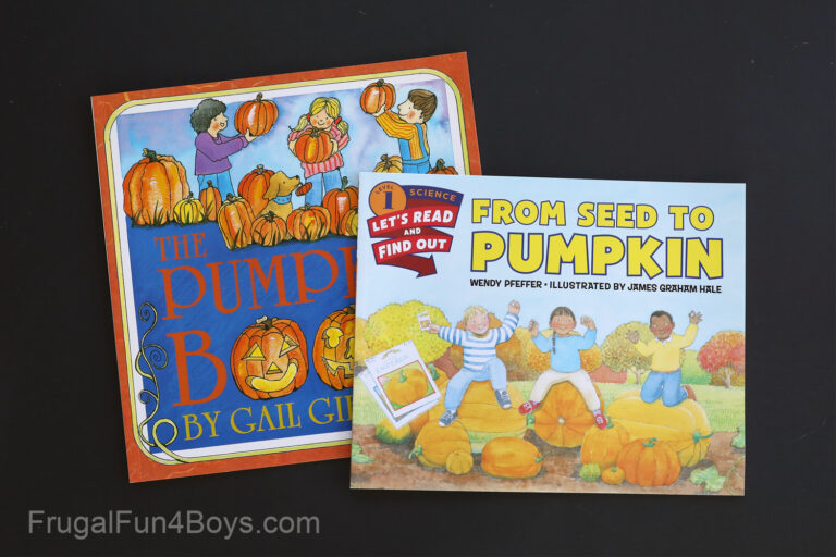 Pumpkin Life Cycle Activity {Printable} - Frugal Fun For Boys and Girls