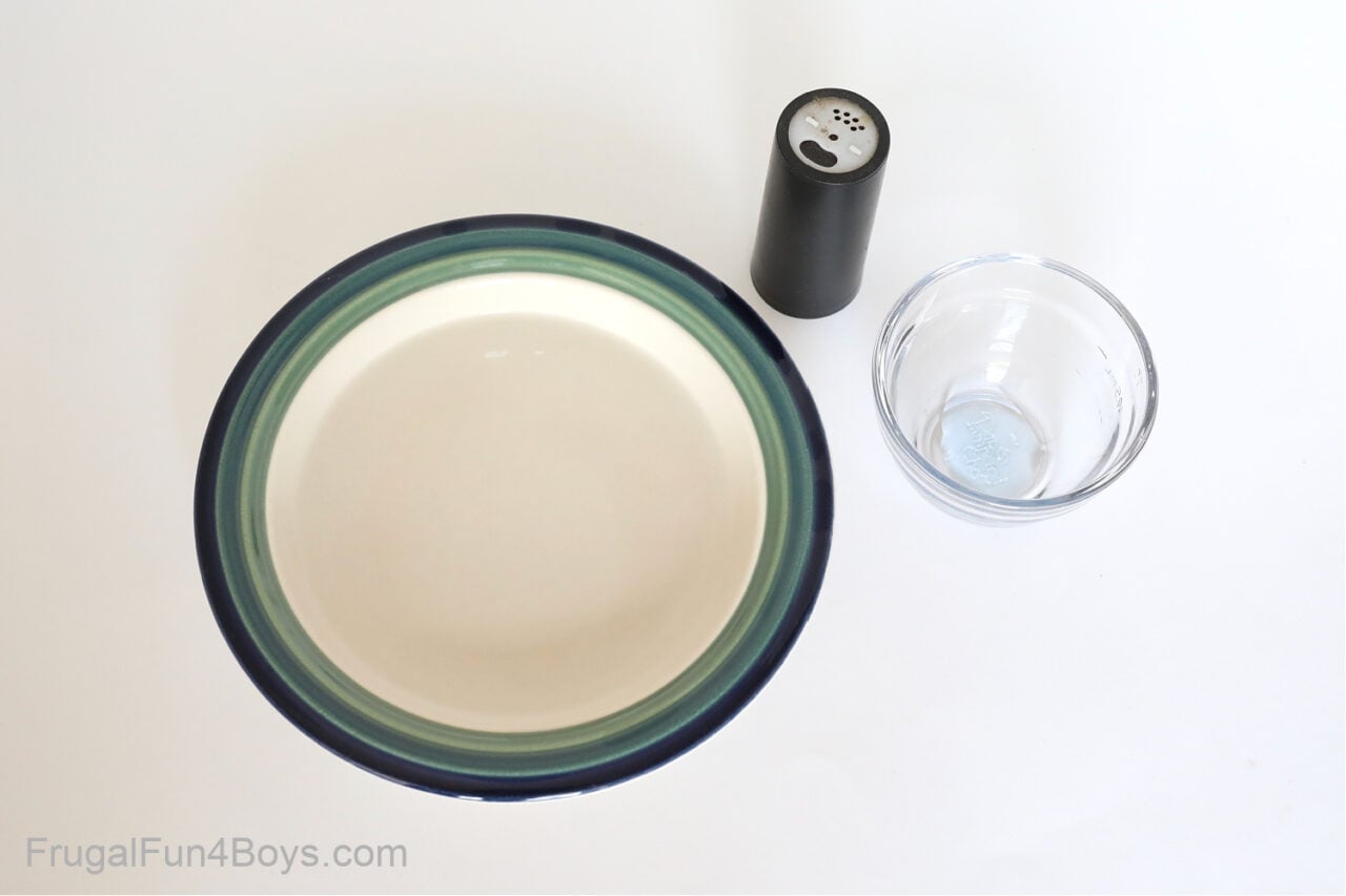 Pepper and Soap Science Experiment - Frugal Fun For Boys and Girls