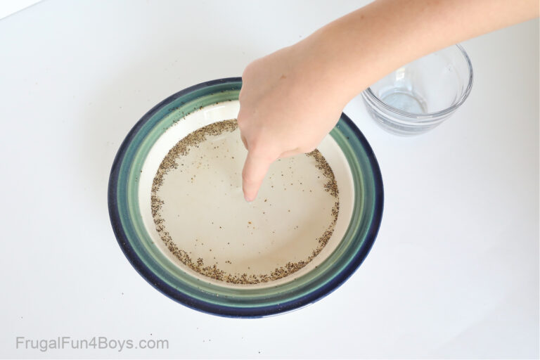 Pepper and Soap Science Experiment - Frugal Fun For Boys and Girls