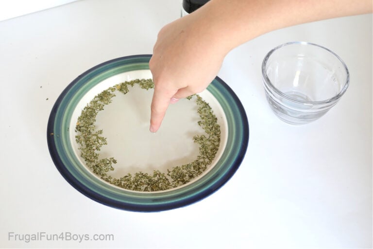 Pepper and Soap Science Experiment - Frugal Fun For Boys and Girls