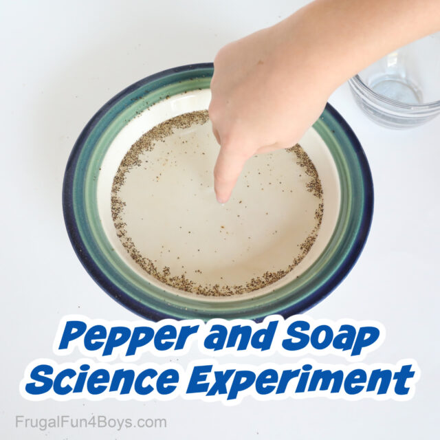 Pepper and Soap Science Experiment - Frugal Fun For Boys and Girls
