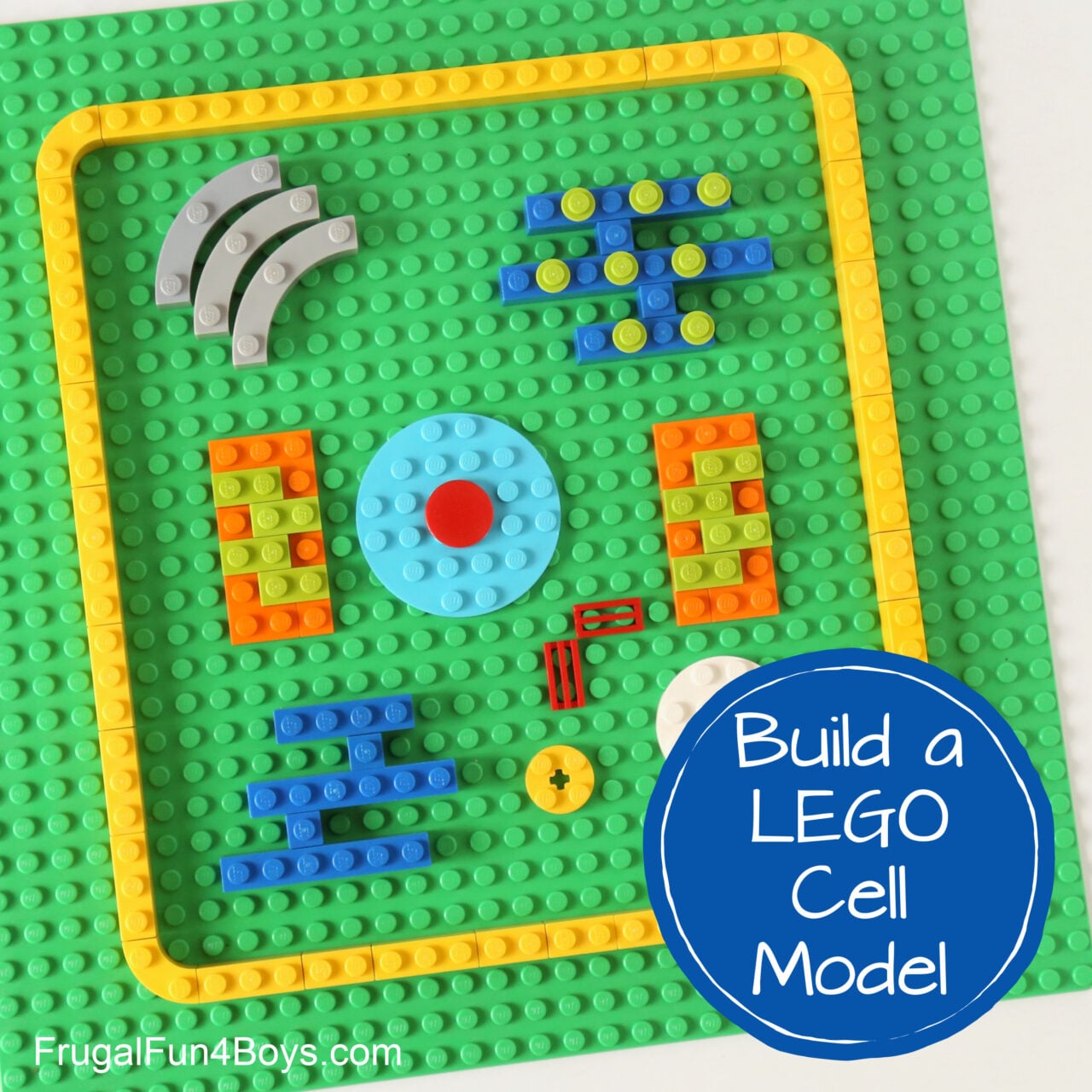 Build a LEGO Skeleton Model - Frugal Fun For Boys and Girls