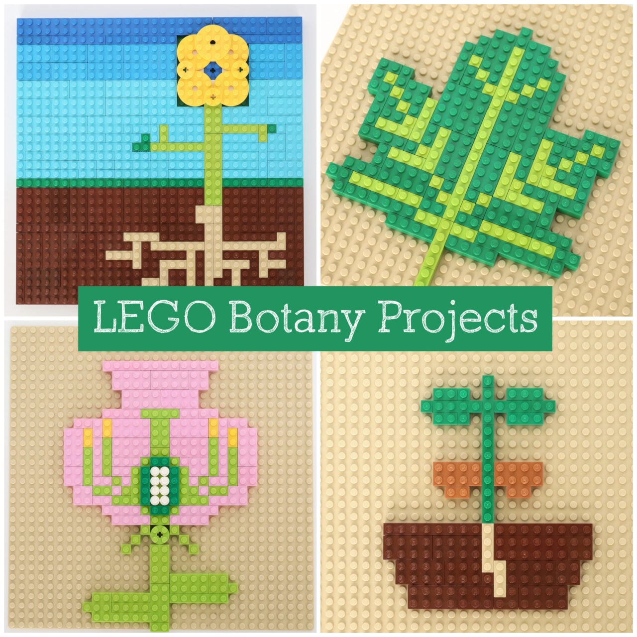 LEGO Botany Project Ideas - Frugal Fun For Boys and Girls